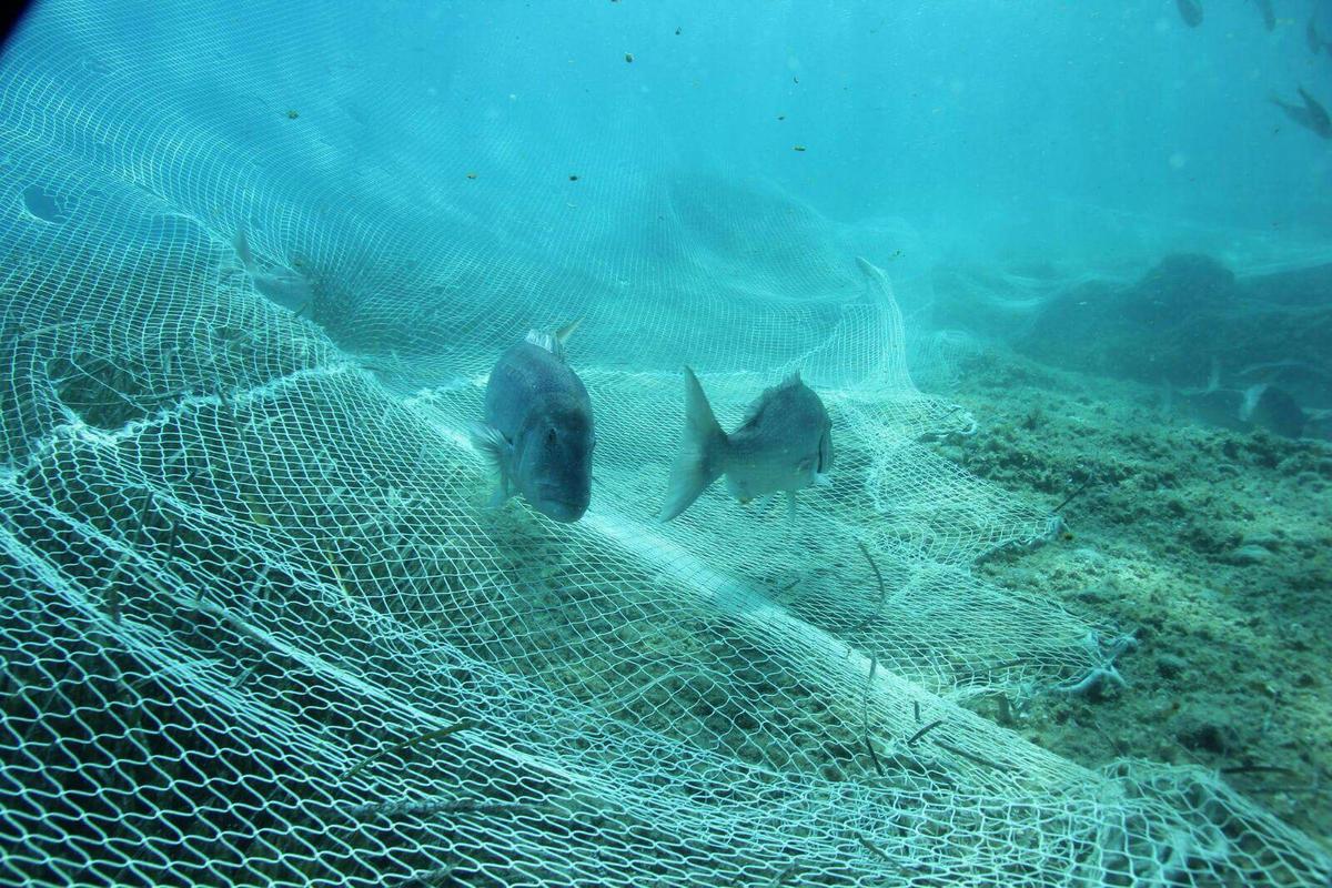 Fishing Trip to Vis and Hvar Islands - Travel Croatia