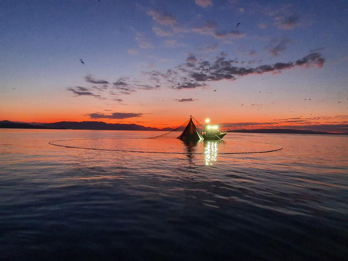 Fishing Trip to Vis and Hvar Islands - Travel Croatia